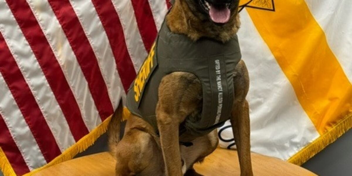 Plymouth Co Sheriffs Office K9 Officer Zeke Receives Body Armor